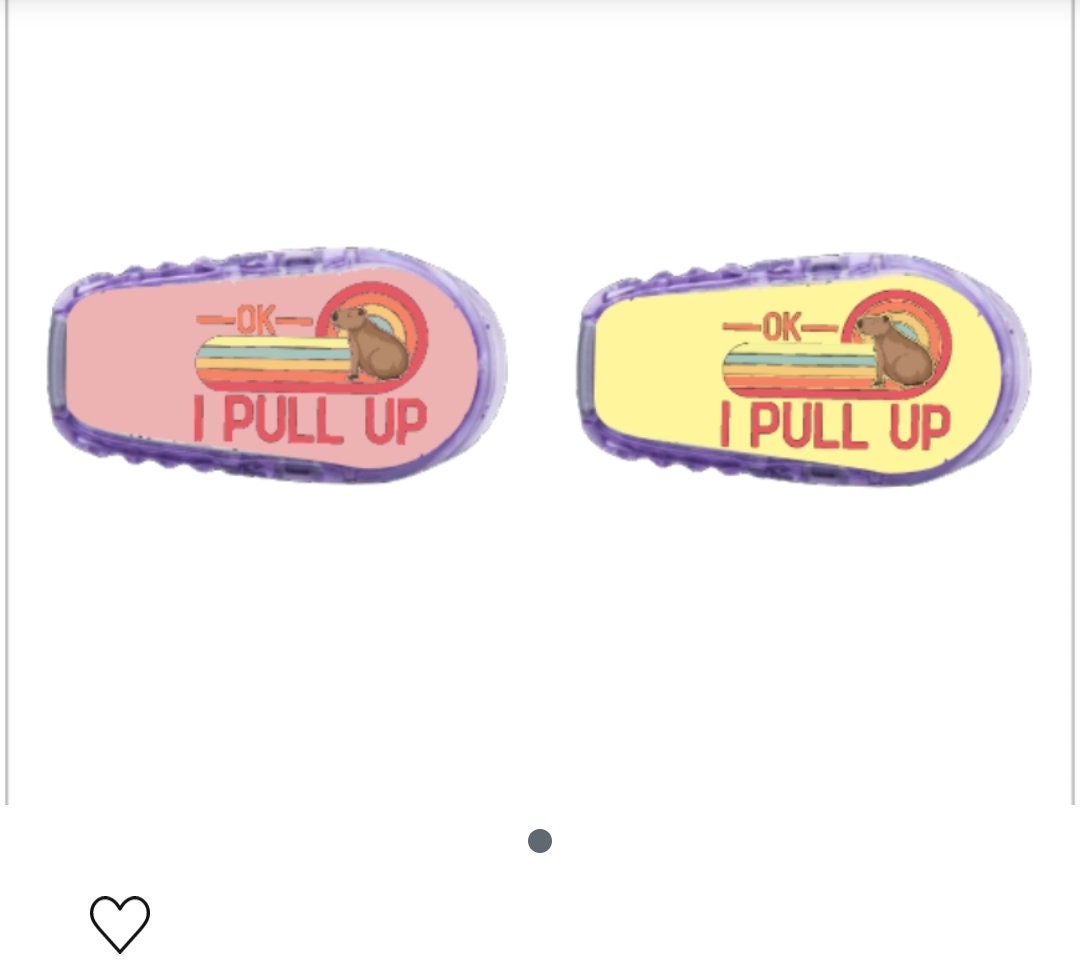 Capybara Dexcom G6 Stickers | Dexcom G6 Stickers | Diabetes Stickers ...