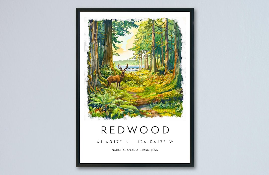 Redwood Watercolor Poster Redwood Travel Print California Wall Art ...