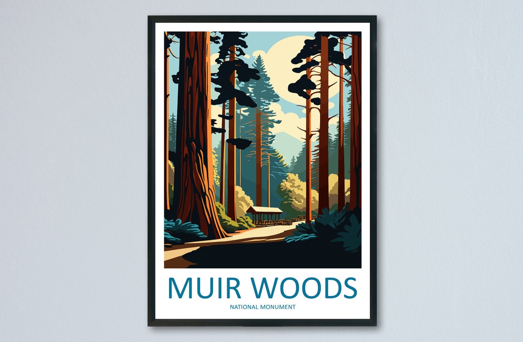 Muir Woods National Monument Travel Print Wall Art Muir Woods Wall ...