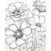 Over 100 Flowers Coloring Book Pages. Printable PDF Downloads. for ...