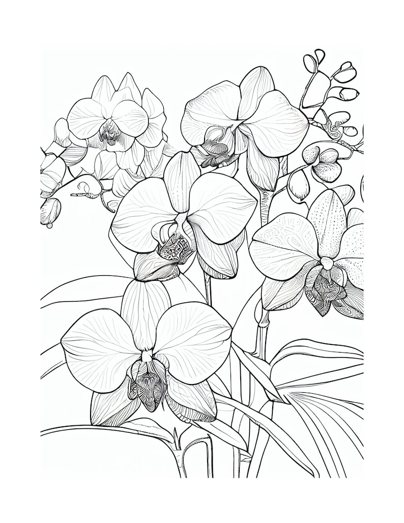 Over 100 Flowers Coloring Book Pages. Printable PDF Downloads. for ...