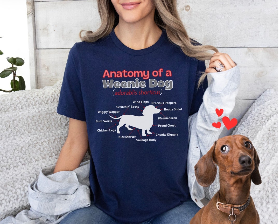 Anatomy of a Weenie Dog, Dachshund Chart With Humorous Body Part Labels ...