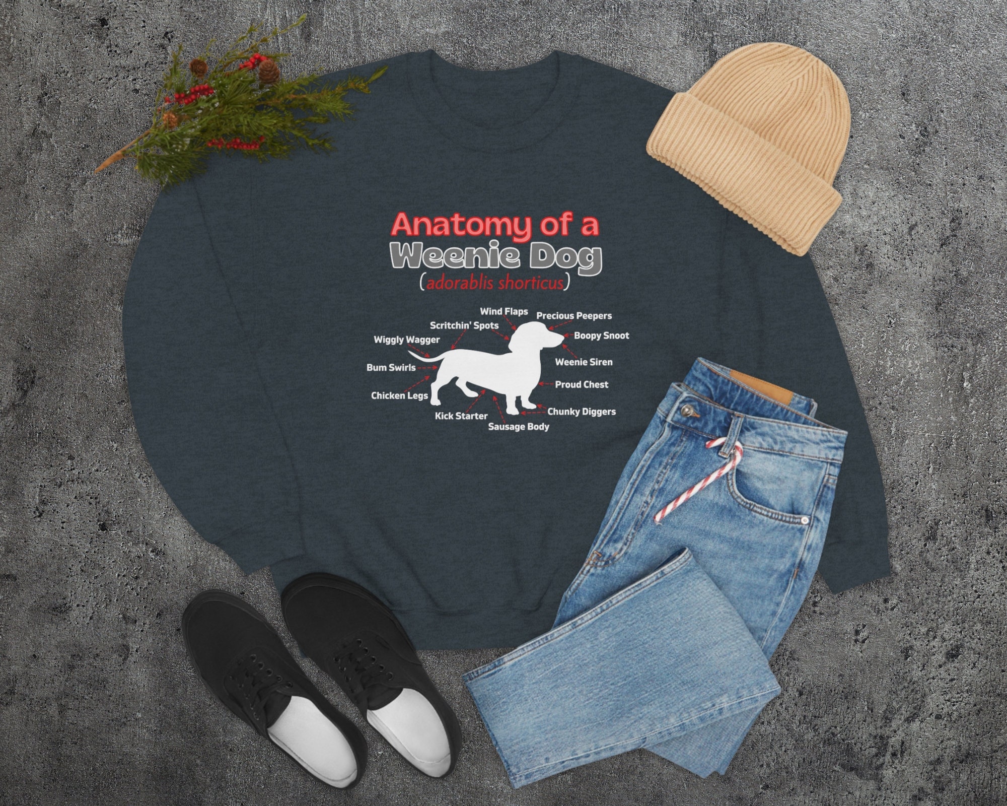 Anatomy of a Weenie Dog, Silhouette Dachshund With Humorous Part Labels ...