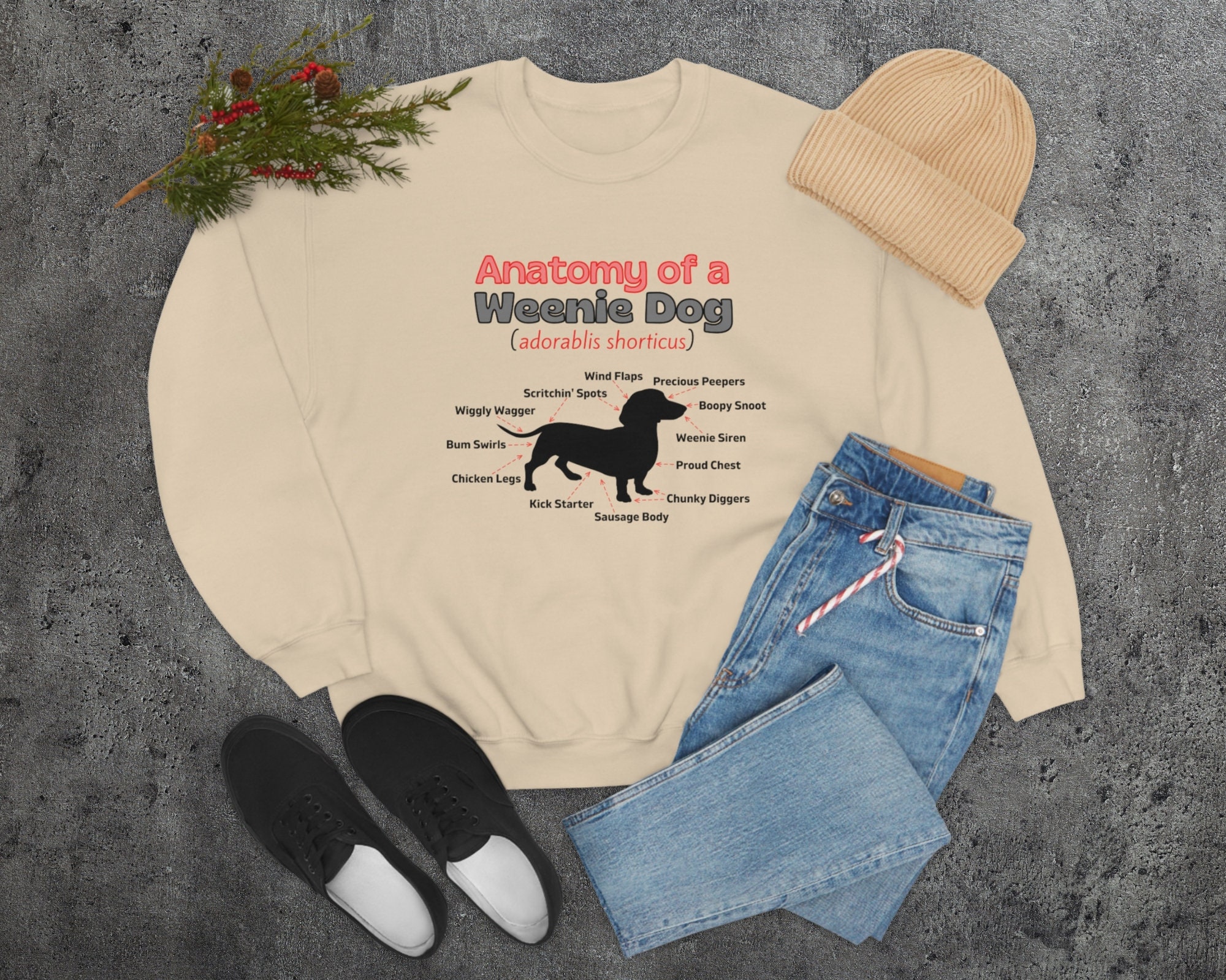 Anatomy of a Weenie Dog, Silhouette Dachshund With Humorous Part Labels ...