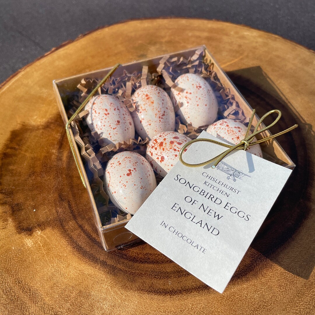 Hand Painted Chocolate Bird Eggs - Black Capped Chickadee - Etsy