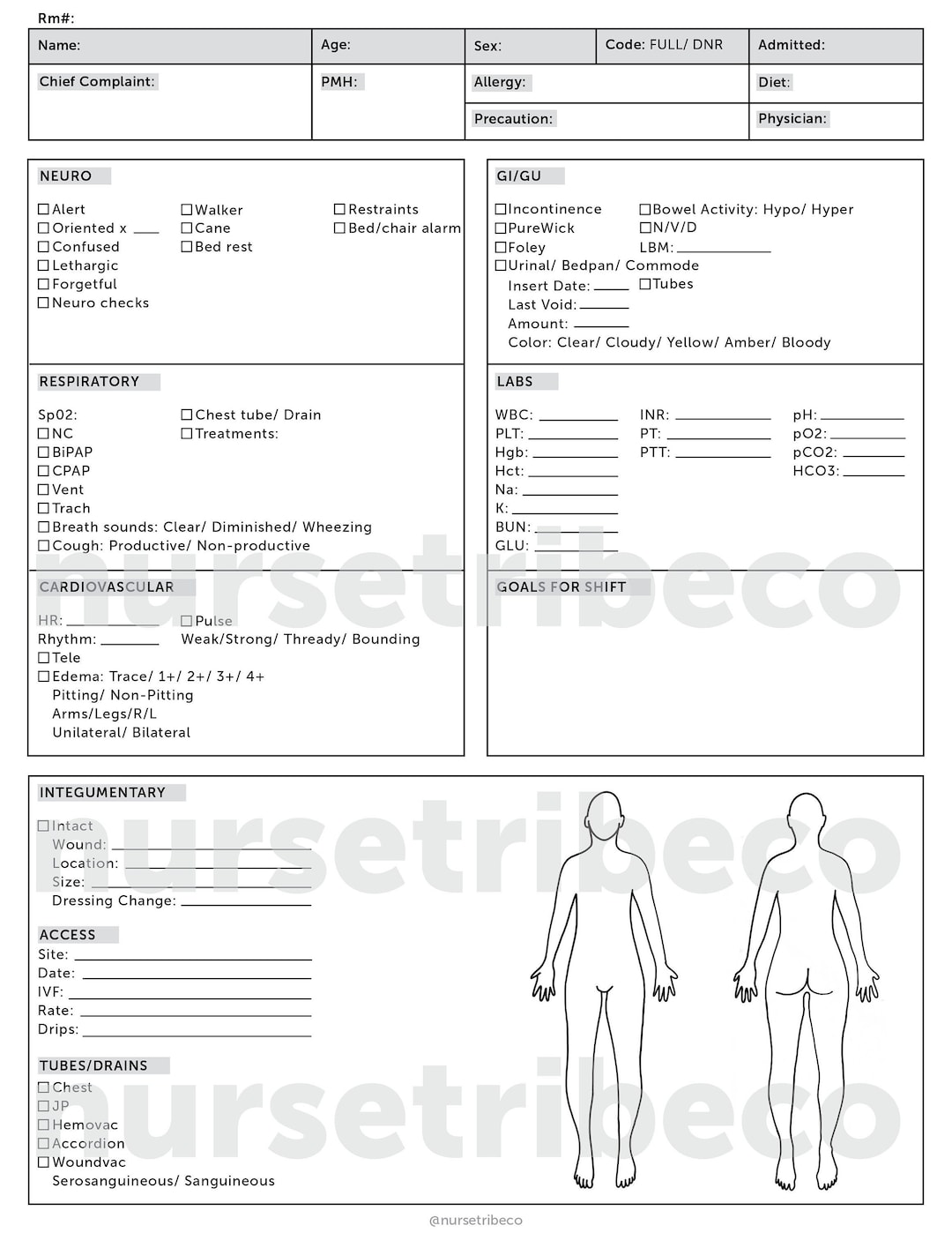 Detailed Nursing Report Sheet, Patient Report, Nurse Notes, RN, LPN ...
