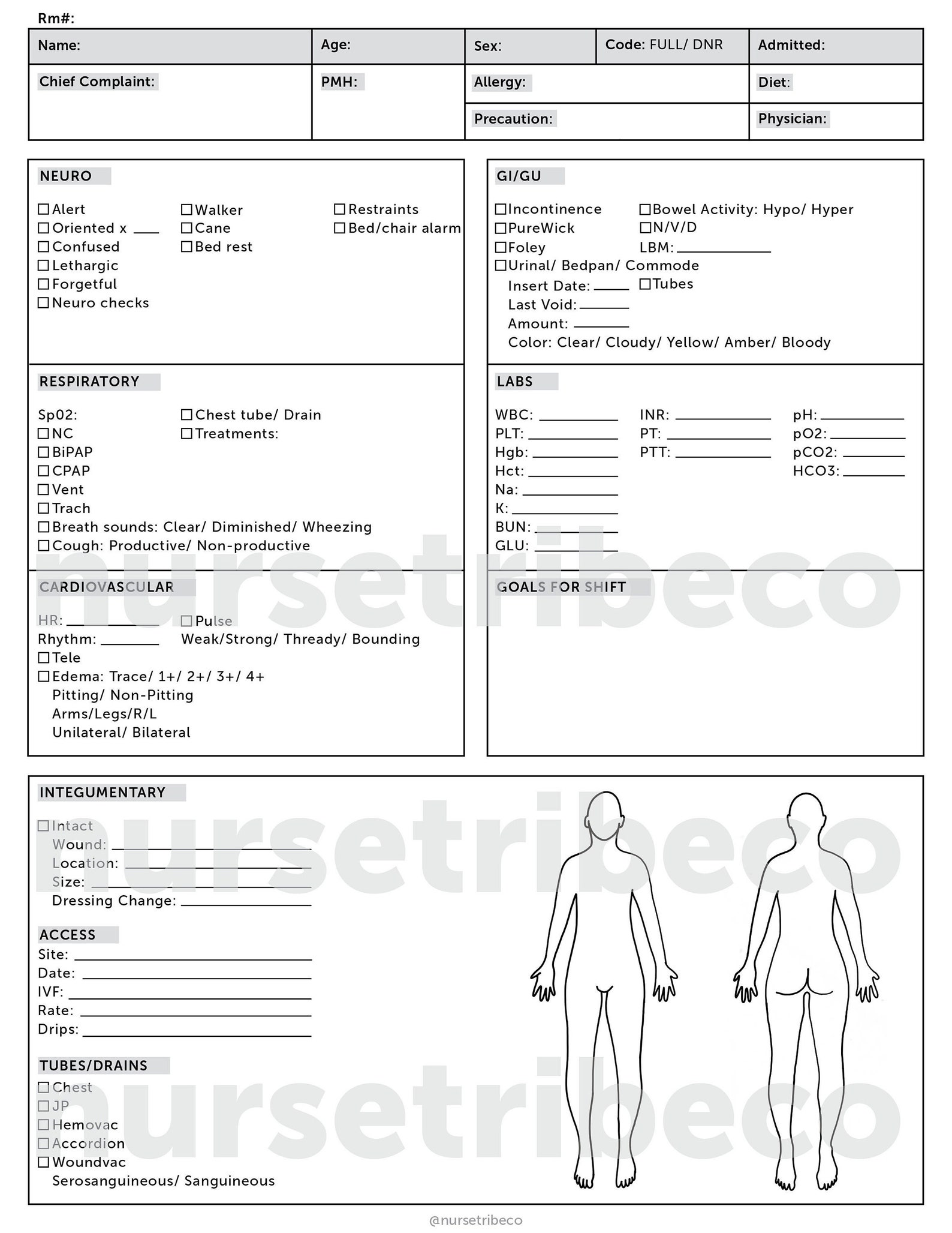 Detailed Nursing Report Sheet, Patient Report, Nurse Notes, RN, LPN ...