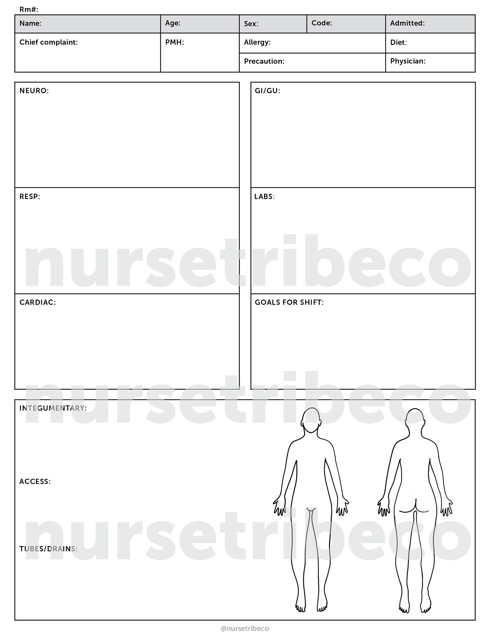 Nursing Report Sheet, Patient Report, Nurse Notes, RN, LPN, Student ...