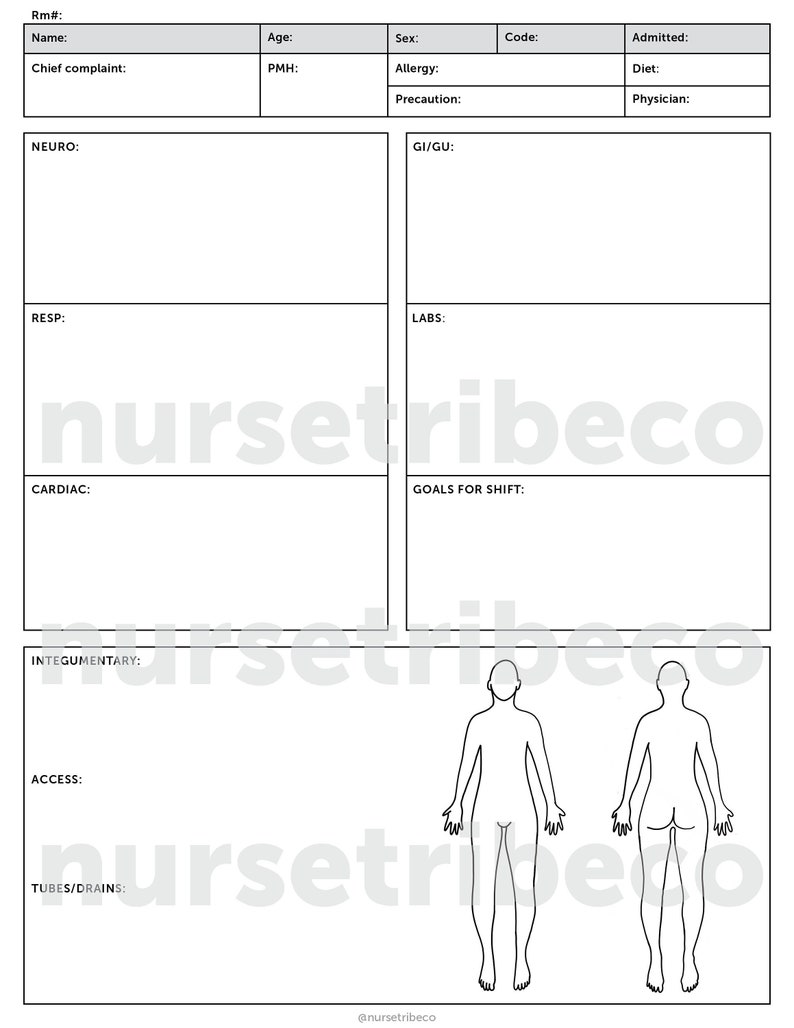 Nursing Report Sheet, Patient Report, Nurse Notes, RN, LPN, Student ...