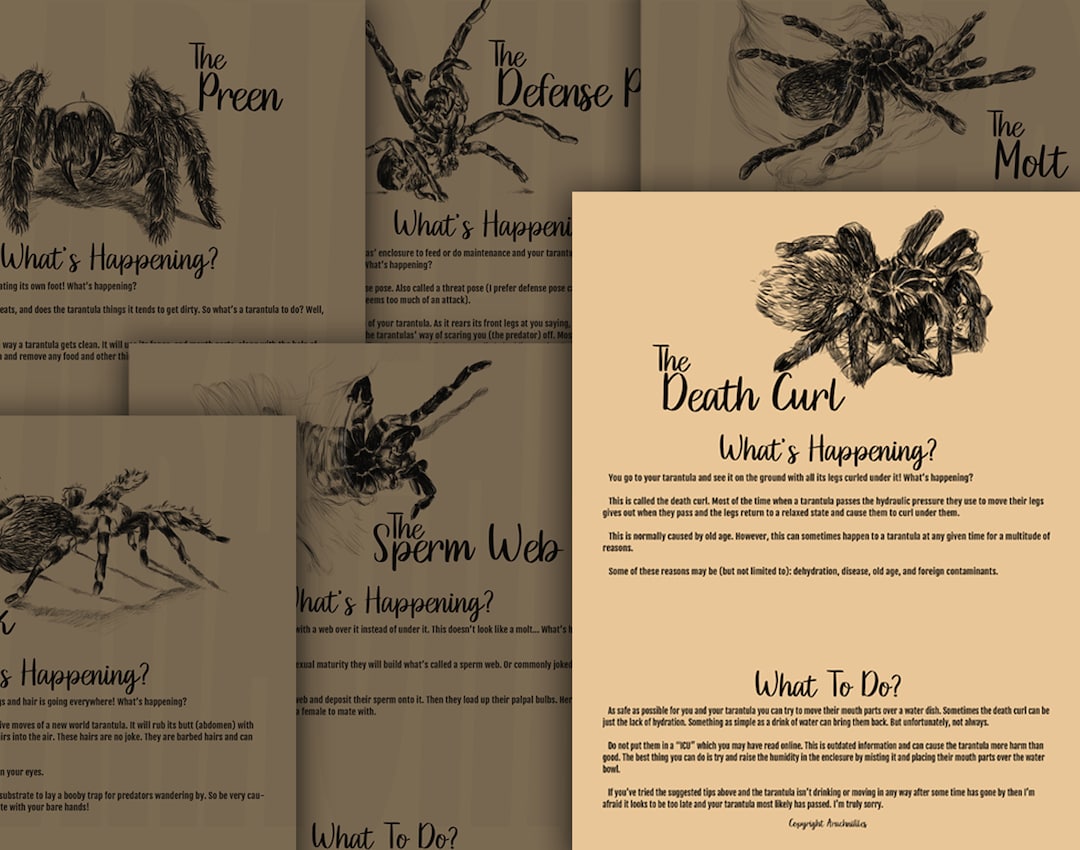 The Death Curl **on Demand Print** - Etsy