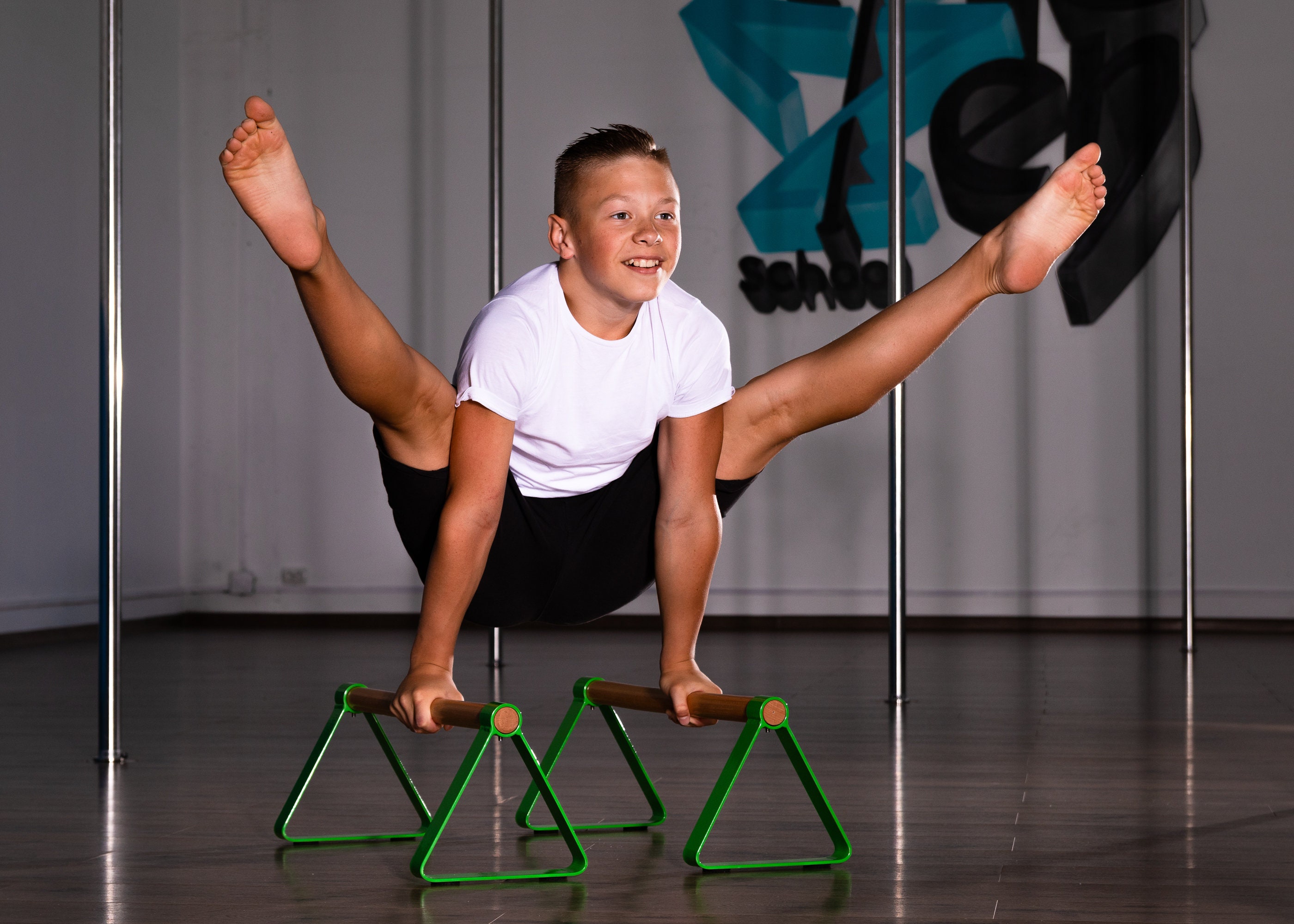 Parallettes, Push-up Bars, Dip Station. Heavy Duty, Hold up to 300 Lbs ...