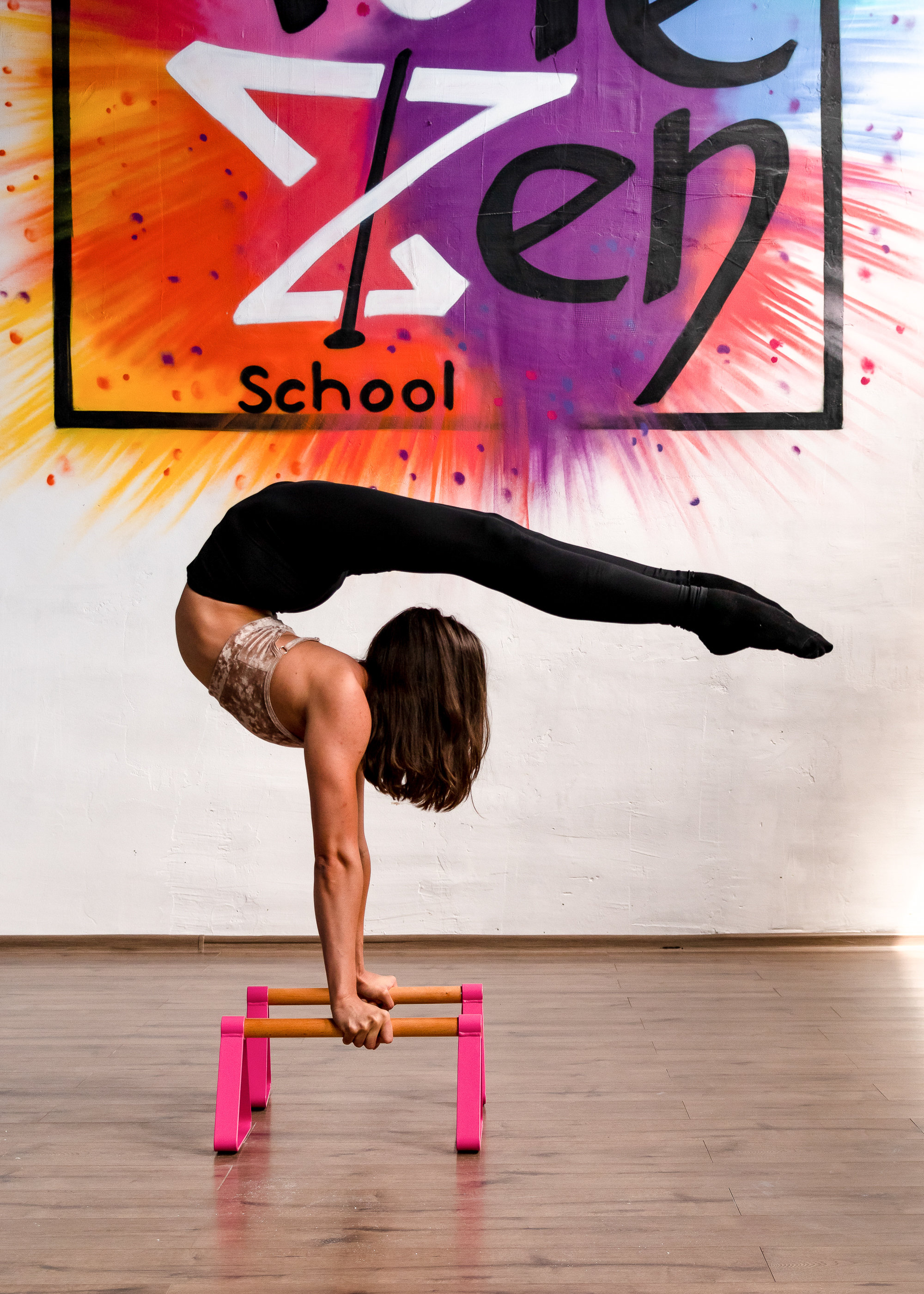 Parallettes, Push-up Bars, Dip Station. Heavy Duty, Hold up to 300 Lbs ...