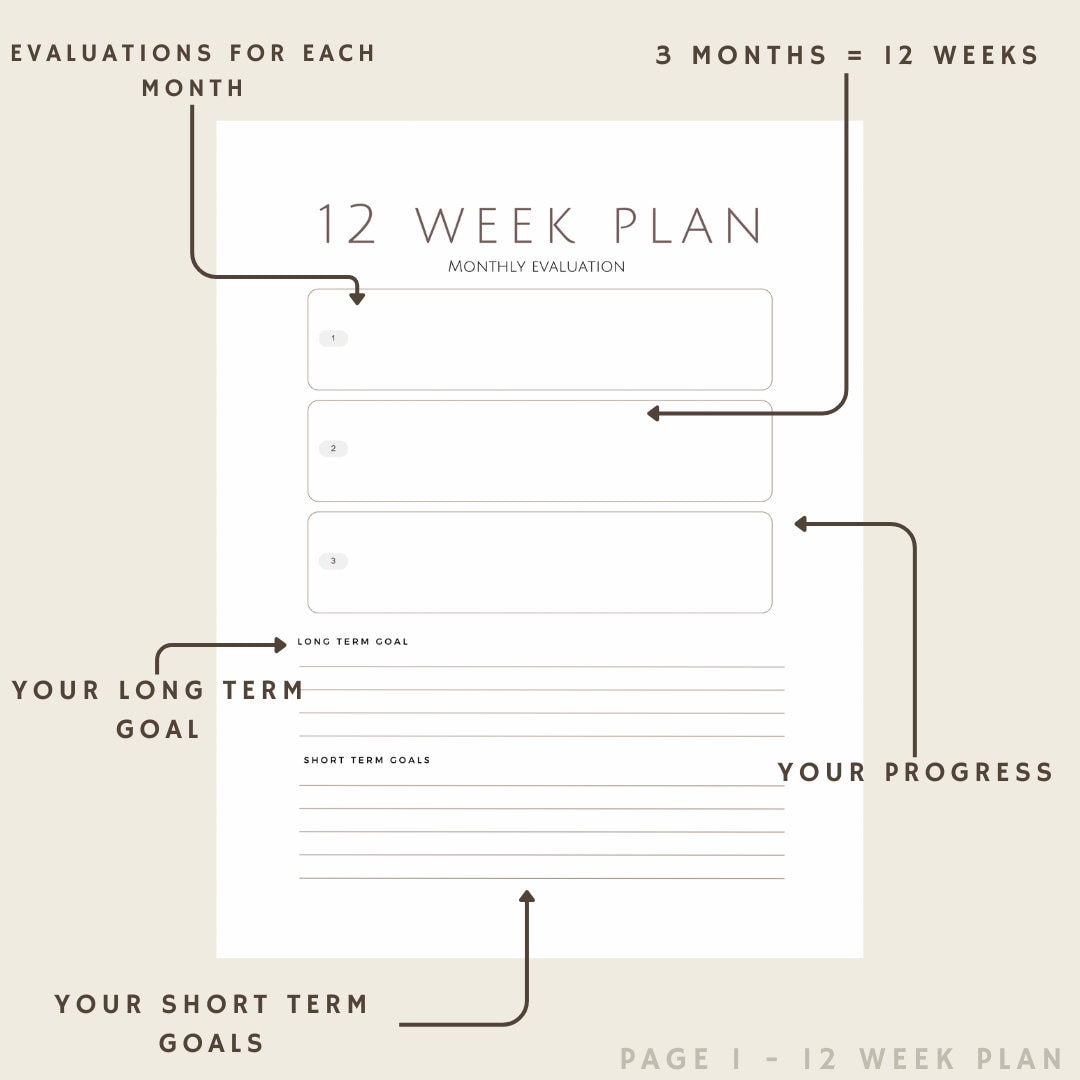 12 Week Plan & Log, Weekly and Daily Log, Fitness Planner, Goal Tracker ...