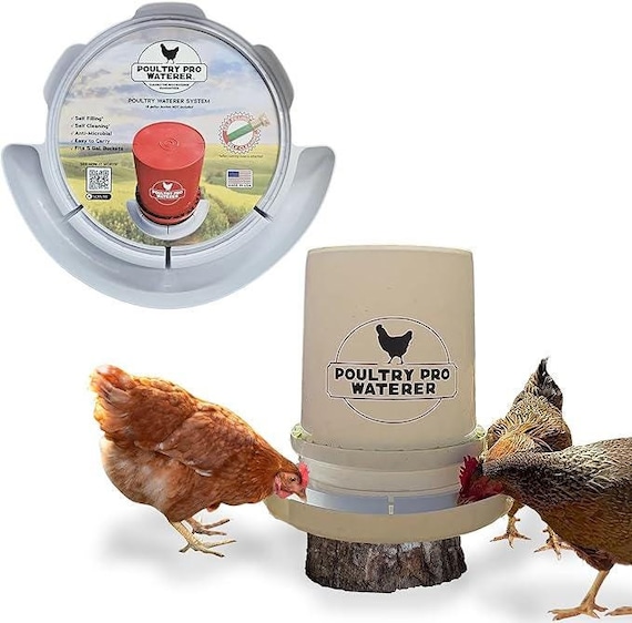 Bebedero Casero Para Pollos Como Hacer Bebedero Para Gallinas O