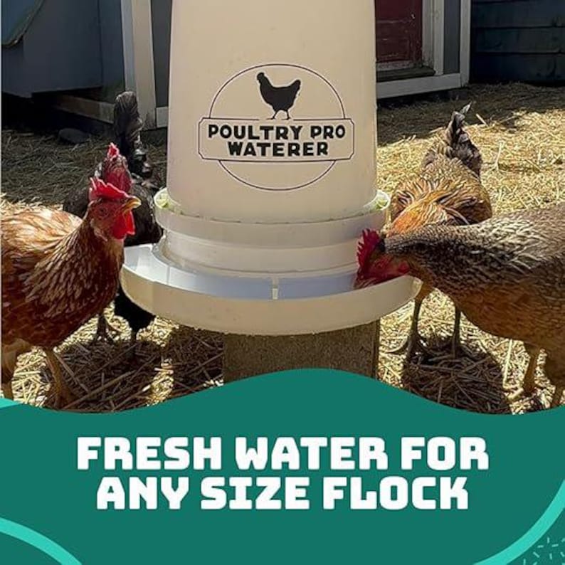 Poultry Pro Waterer | Bucket Waterer for Chickens - Etsy