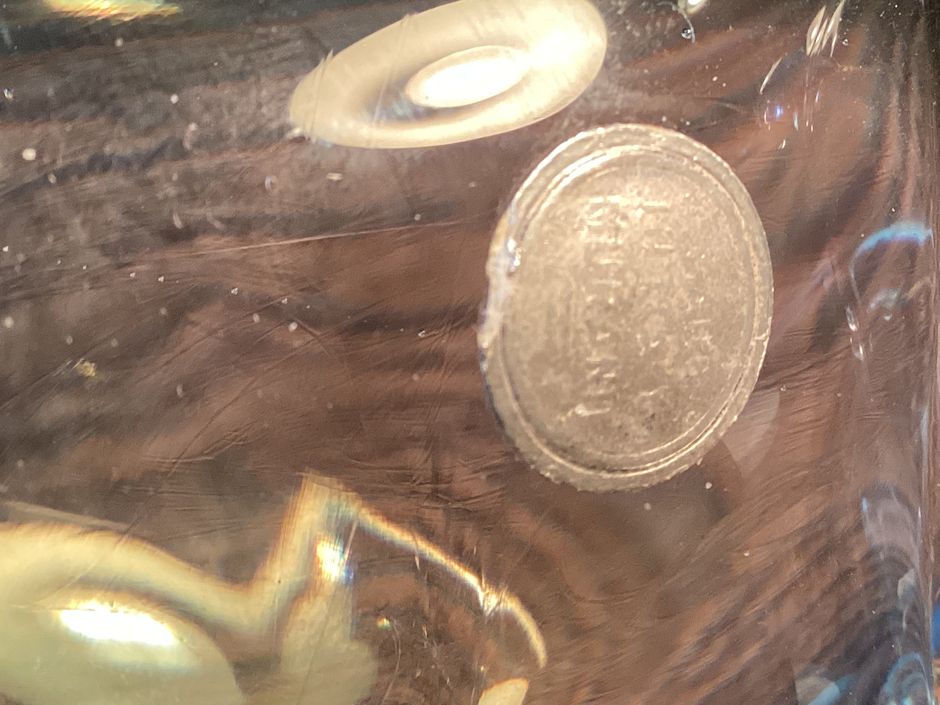 Murano Glass Bull-original Sticker Superb, Majestic Piece-great ...