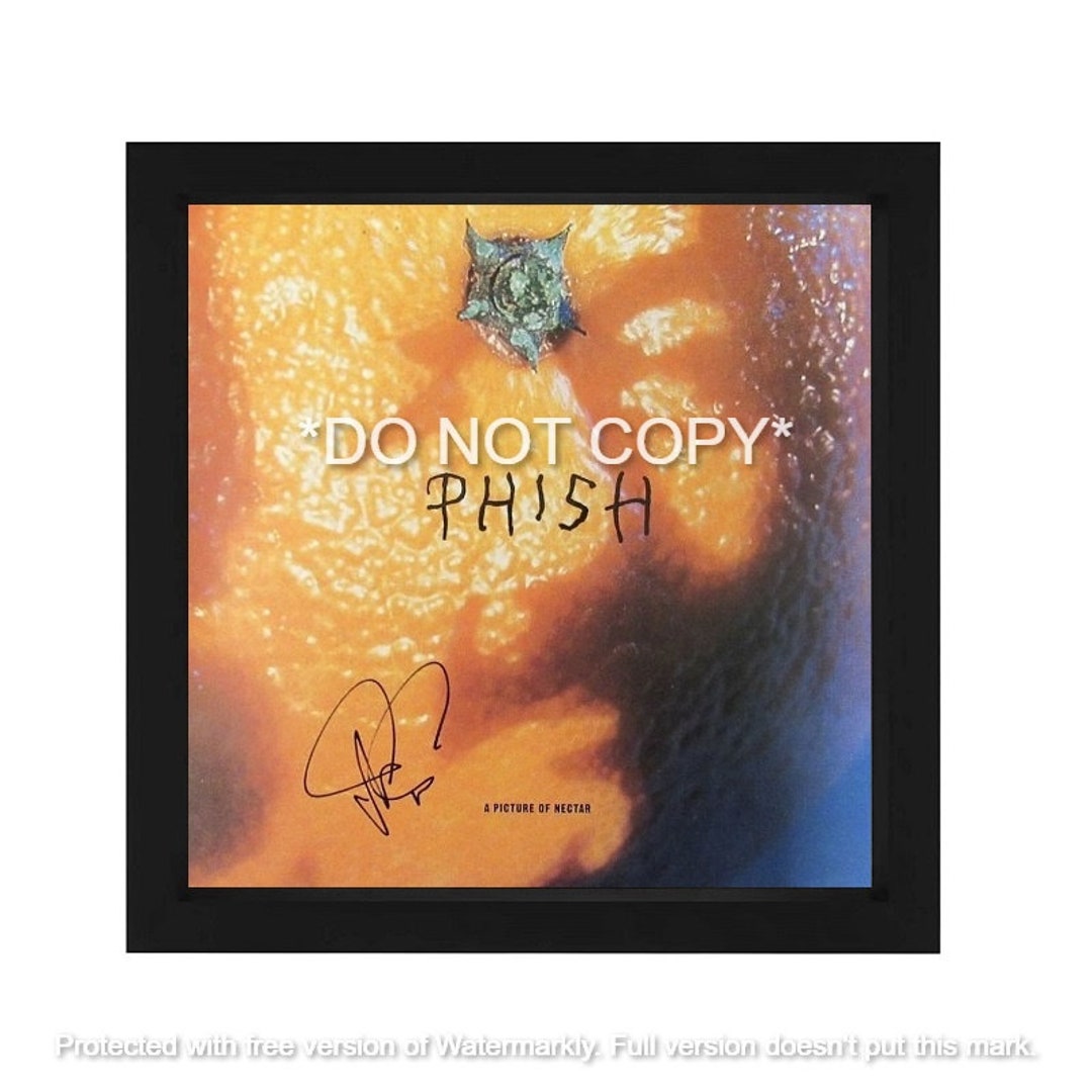 A Picture Of Nectar Phish