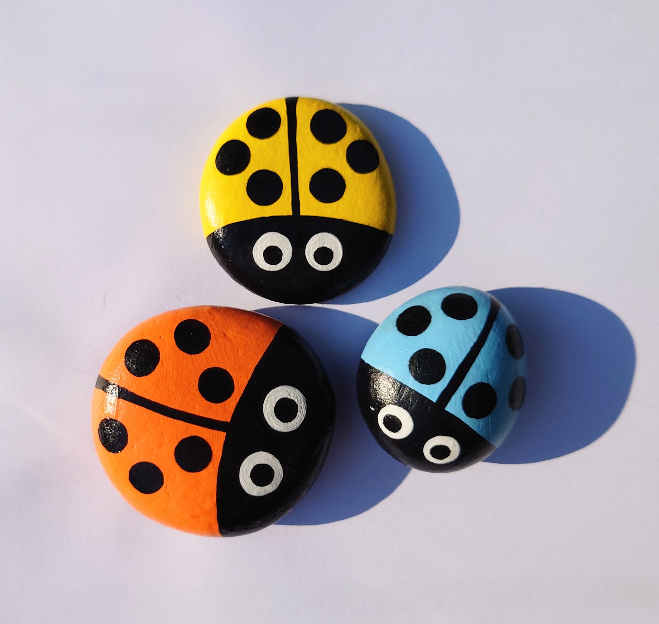 Ladybird Painted Pebble Various Colours and Sizes Nature Pebble Insect ...