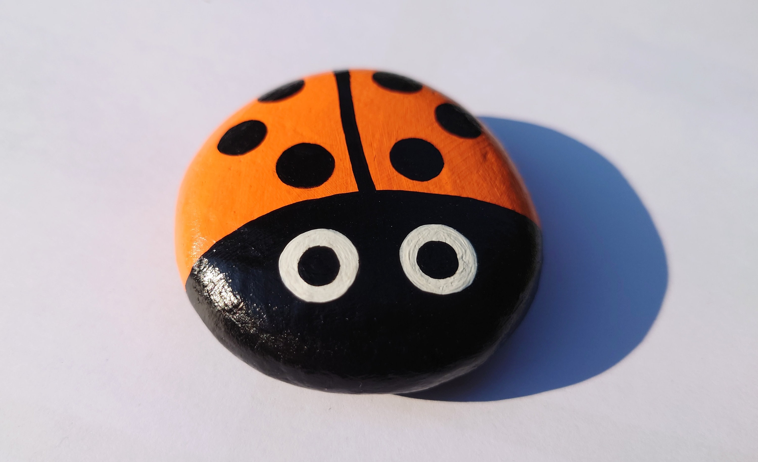 Ladybird Painted Pebble Various Colours and Sizes Nature Pebble Insect ...