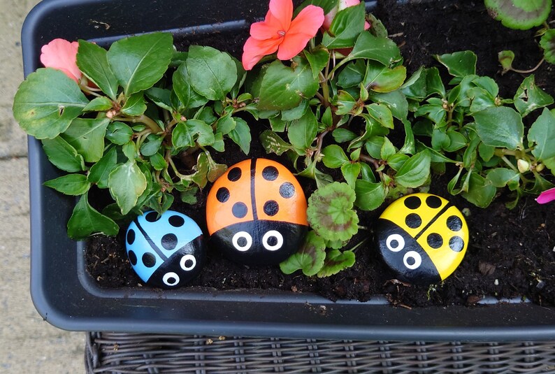 Ladybird Painted Pebble Various Colours and Sizes Nature Pebble Insect ...