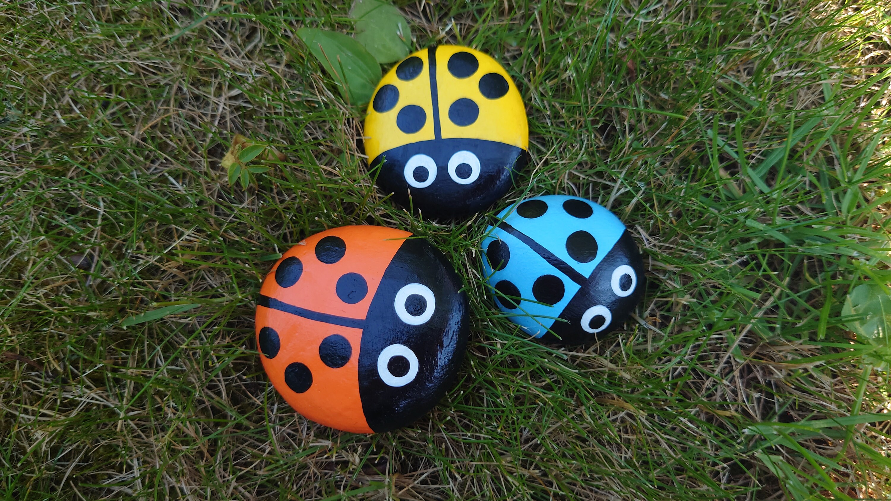 Ladybird Painted Pebble Various Colours and Sizes Nature Pebble Insect ...