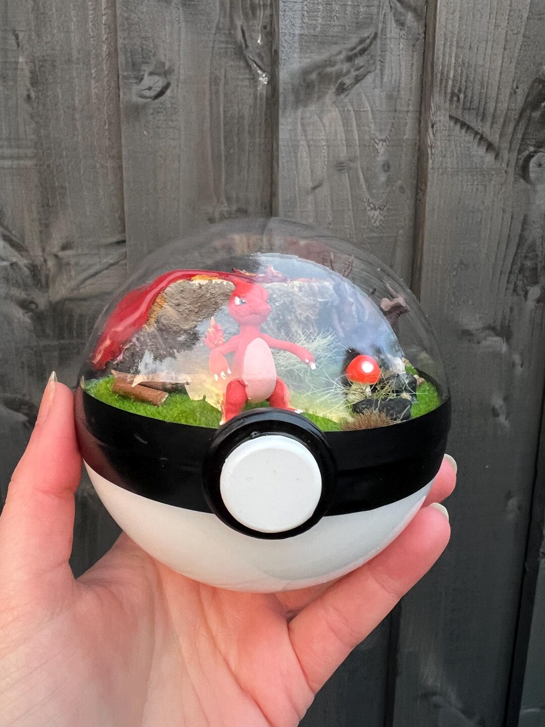 Pokeball Terrarium Featuring Charmeleon by a Volcano With Lava - Etsy