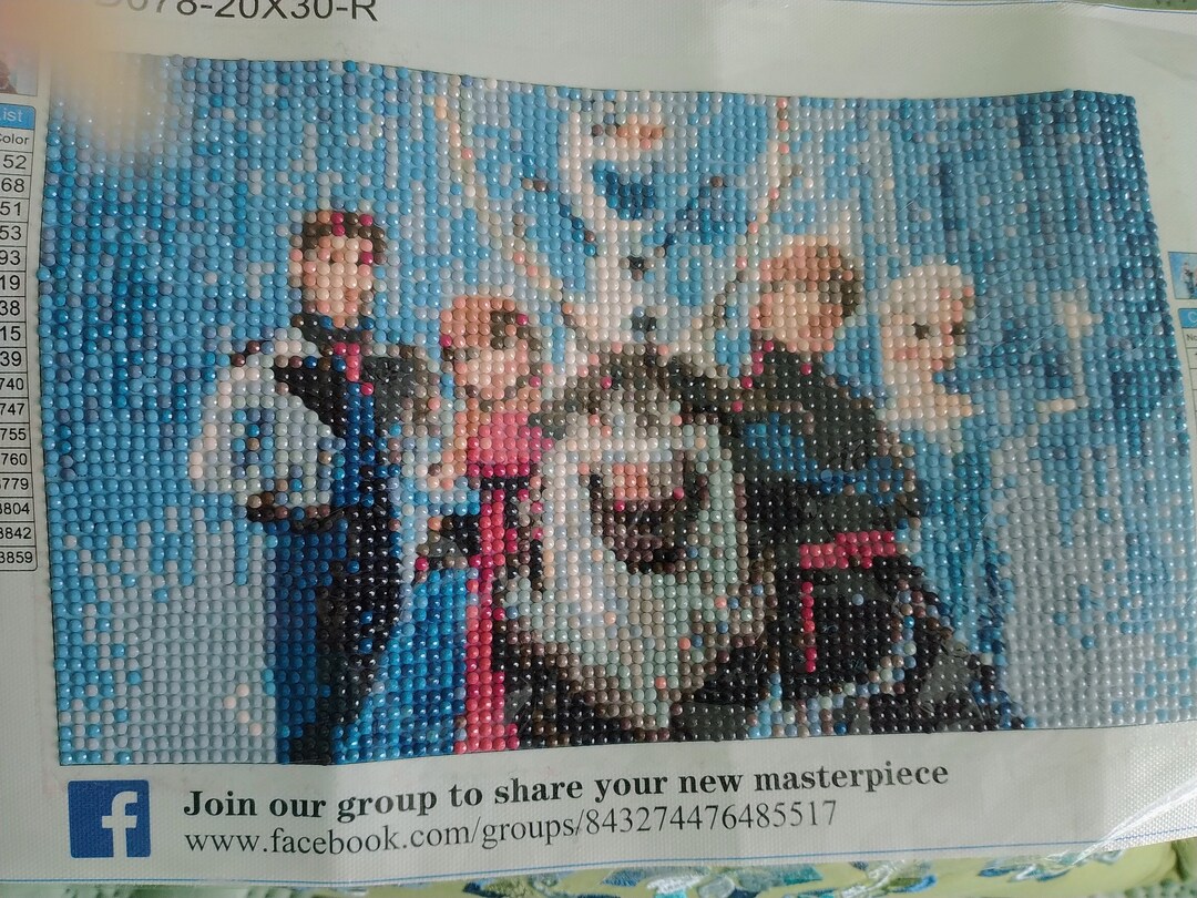 Frozen Completed Diamond Painting - Etsy