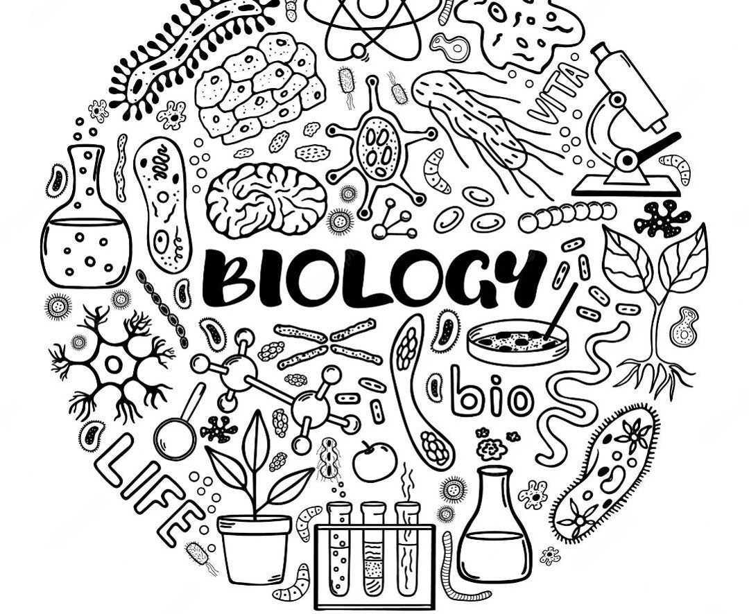 Grade 9 GCSE Biology Flashcards Etsy grade-9-gcse-biology-flashcards-etsy
