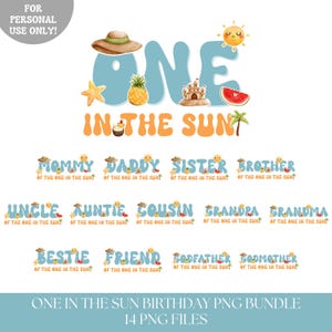 One in the Sun Birthday PNG Sublimation Bundle, Pool Beach 1st Boys ...