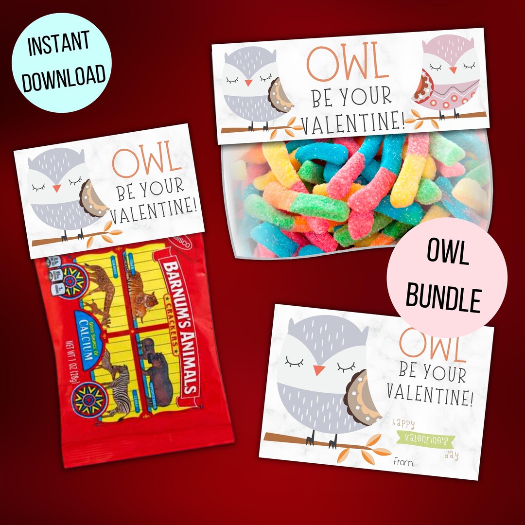 Printable Owl Valentines Treat Bags, Owl Valentines Day Cards, Owl ...