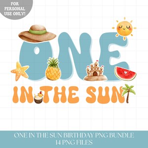 One in the Sun Birthday PNG Sublimation Bundle, Pool Beach 1st Boys ...
