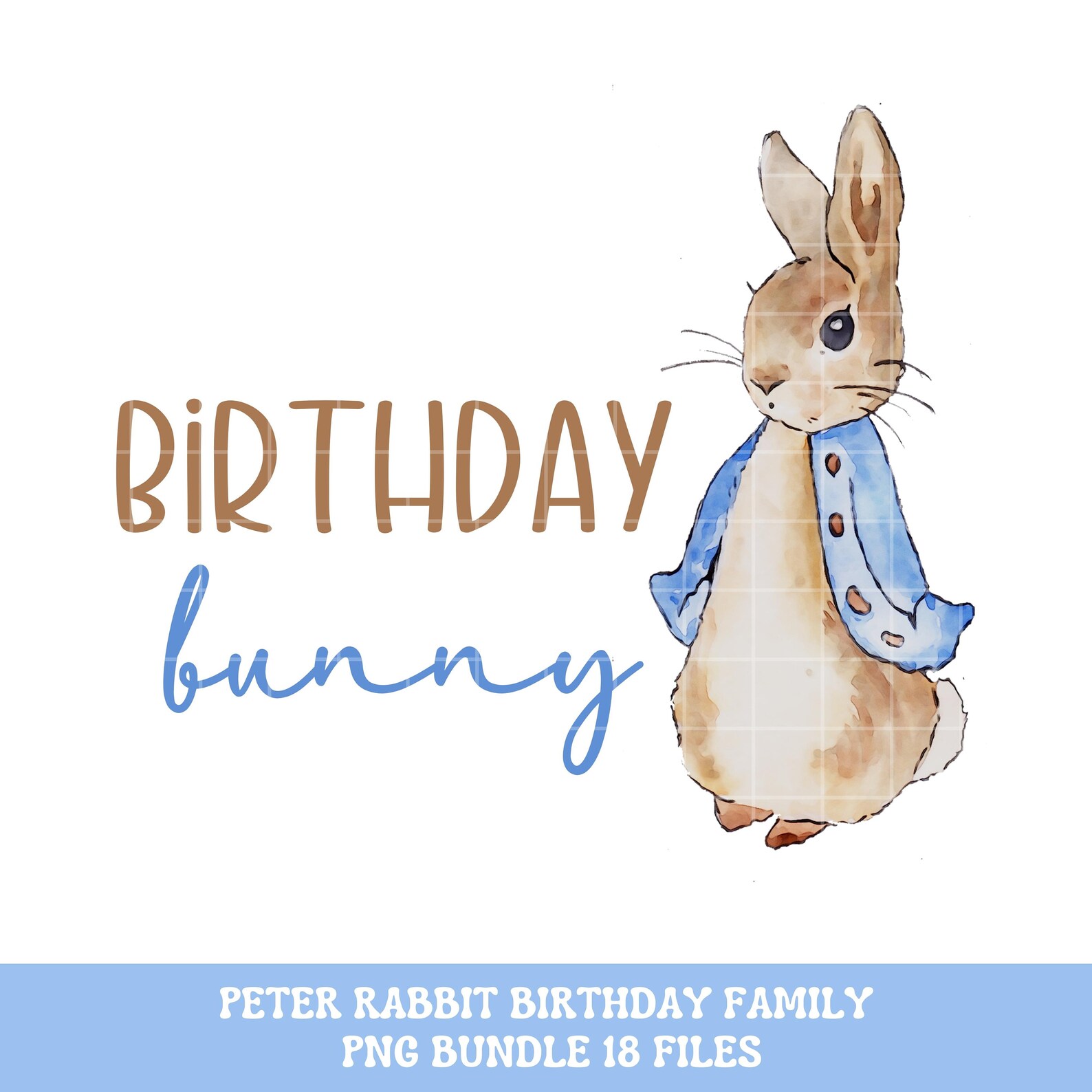 Peter Rabbit Boy Birthday Shirt Png Iron on Transfer Bundle, Peter ...