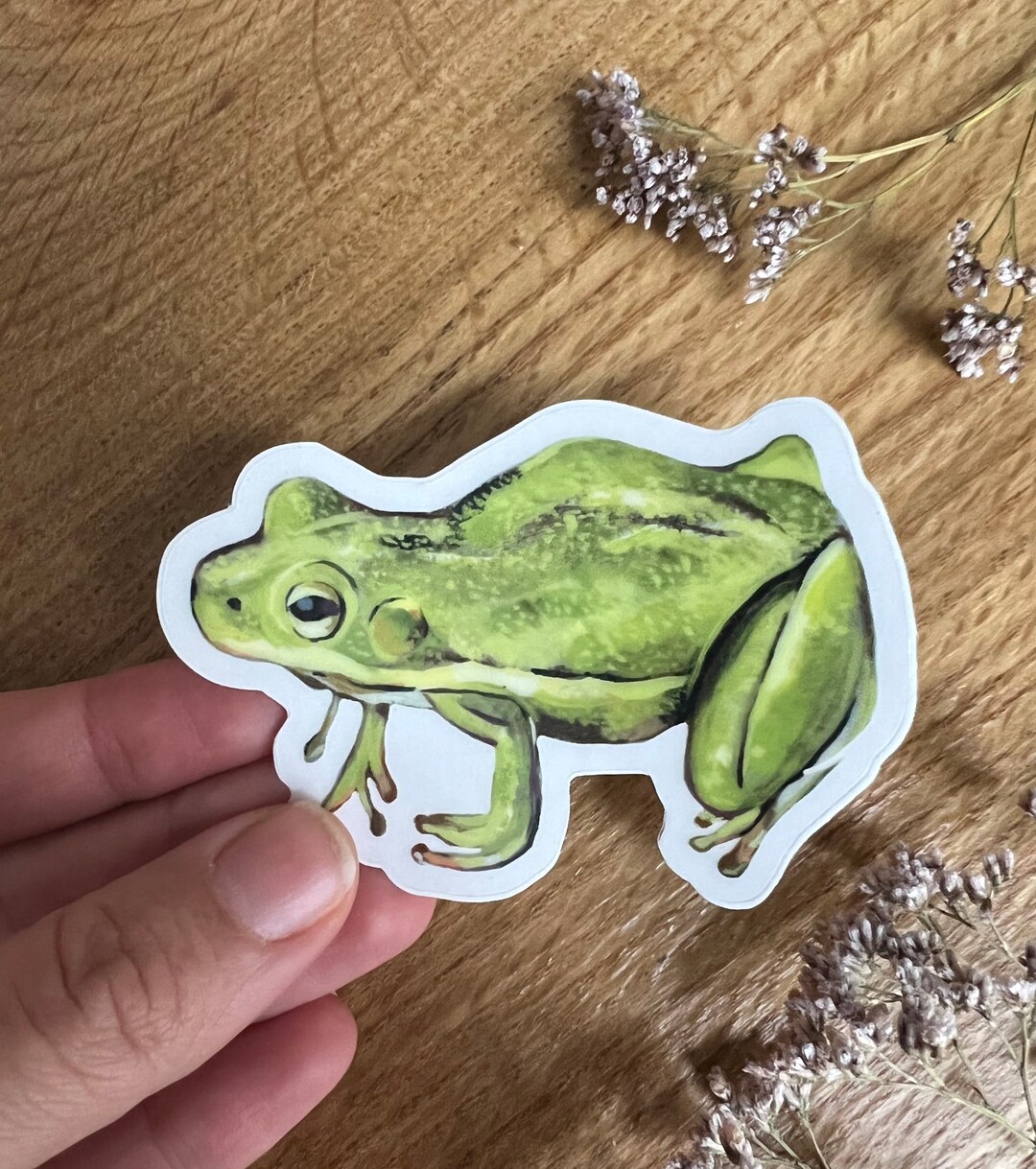 Green Tree Frog Sticker - Etsy