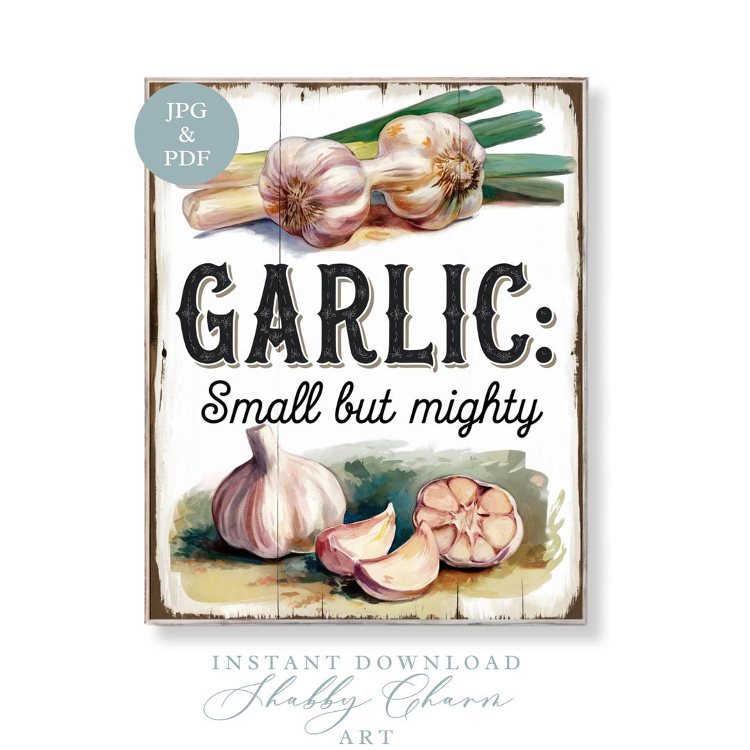 Garlic Wall Art Small but Mighty Watercolor Rustic Farmhouse Decor ...