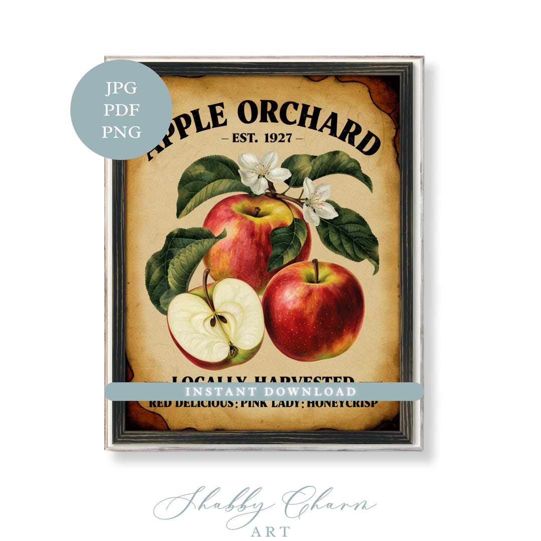 Vintage Apple Orchard Wall Art Rustic Farmhouse Decor With Red ...