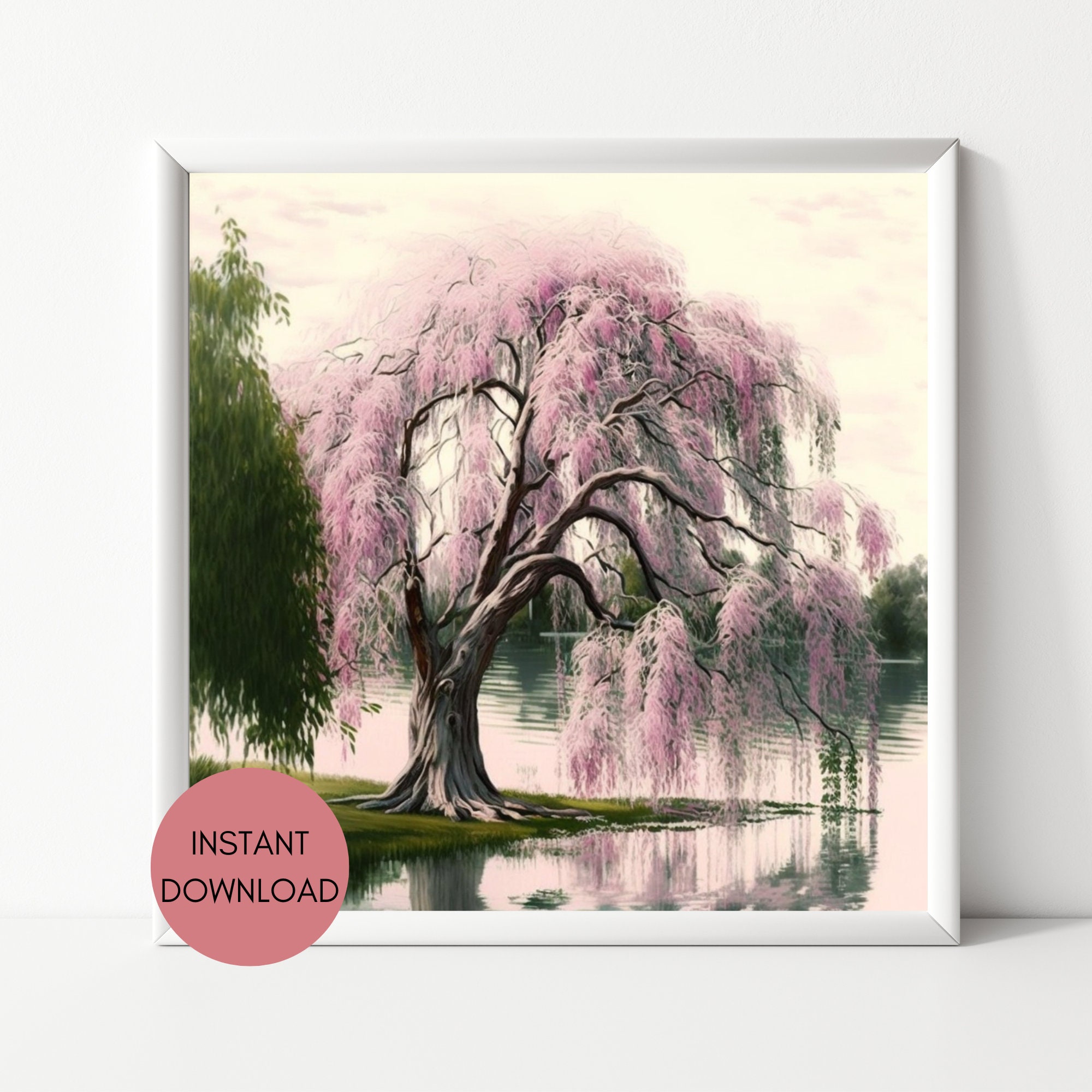 Pink Willow Tree Images