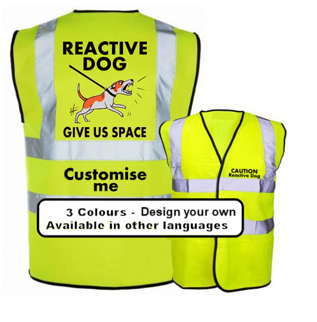 Reactive Dog Hi Vis Vest, Reflective Dog Walking Safety Clothing - Etsy