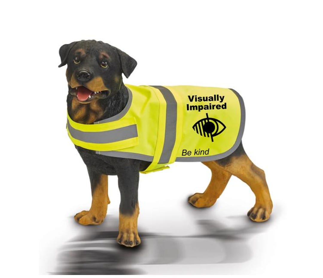 Blind Dog Hi-vis Dog Jacket With Velcro Fastening Available in 6 ...