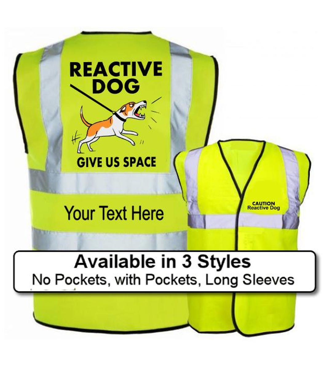 Reactive Dog Hi Vis Vest, Dog Walking Hi Vis Clothing, Reflective Dog ...