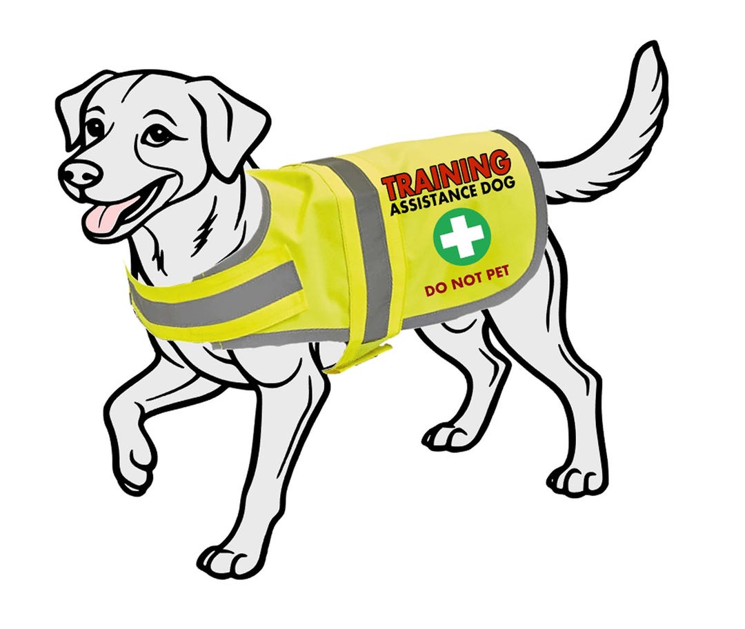 Assistance Training Dog Hi-vis Dog Jacket, Dog Walking Vest, Dog ...