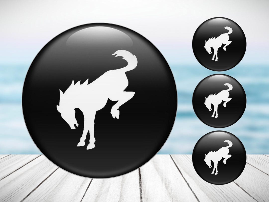 4pcs Set Bronco High Quality Hand Made Center Wheel Cap Stickers Gas ...