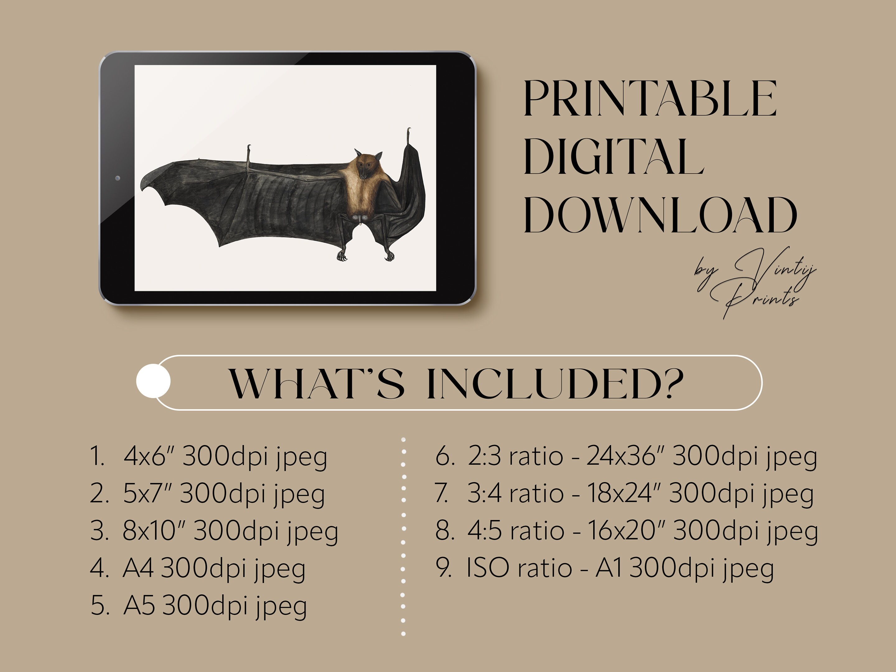 PRINTABLE DIGITAL DOWNLOAD Fruit Bat Drawing Antique Illustration ...