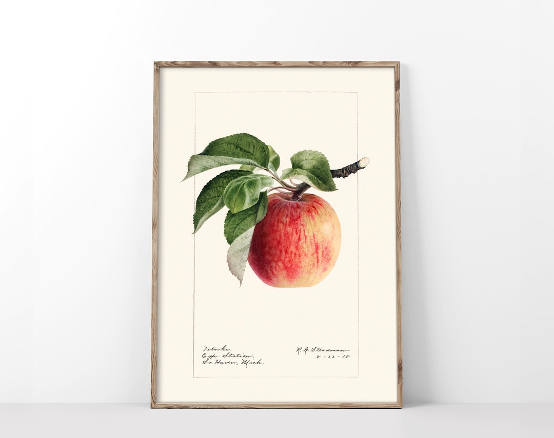 Red Apple Art Print, Vintage 1918 Illustration Poster, Antique ...