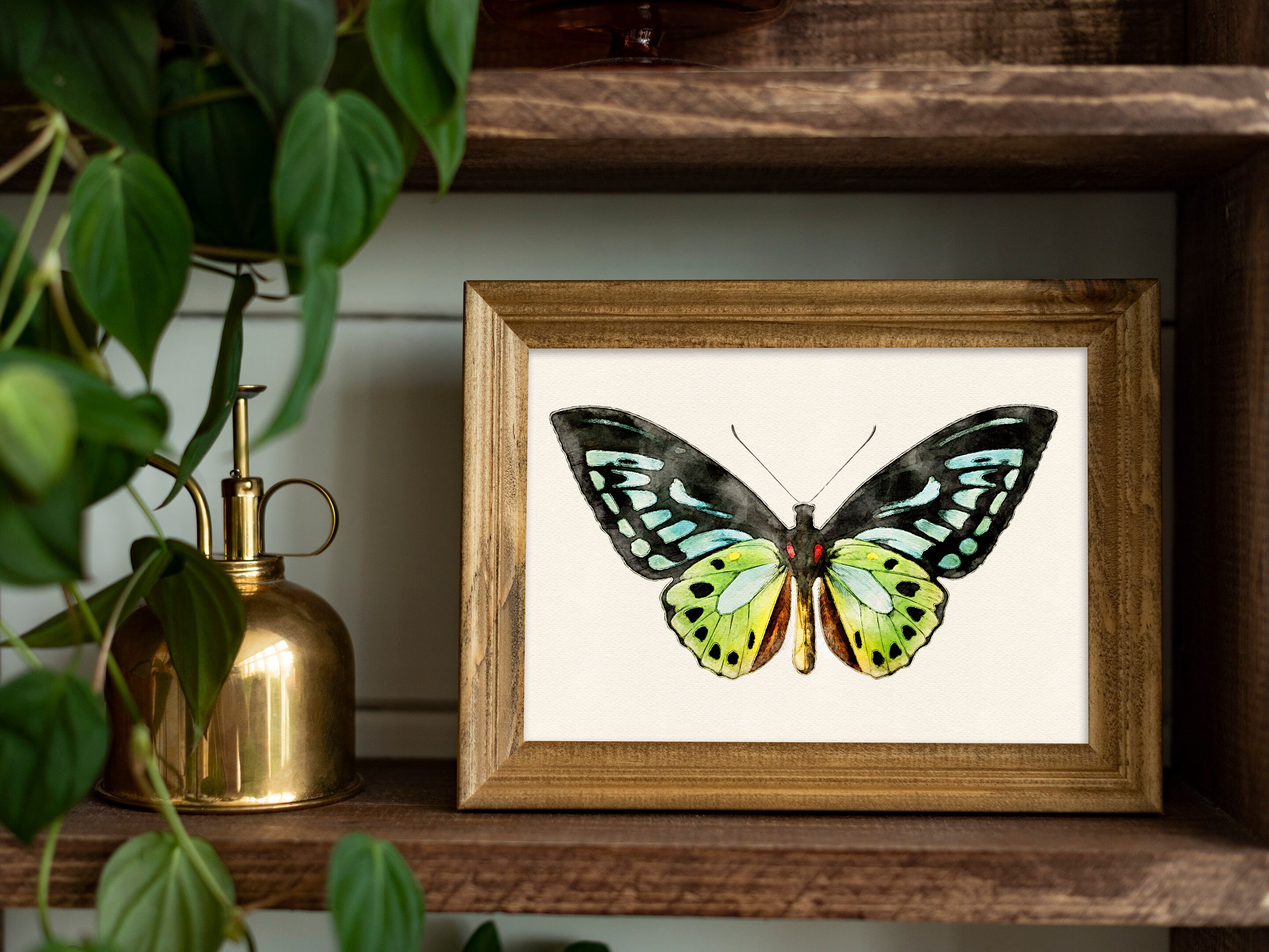 DIGITAL DOWNLOAD Watercolor Butterfly Painting of a Butterfly From an ...