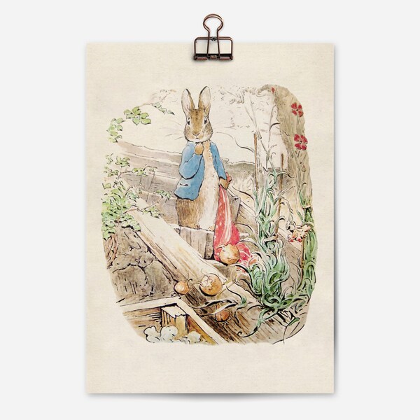 Beatrix Potter - Etsy UK