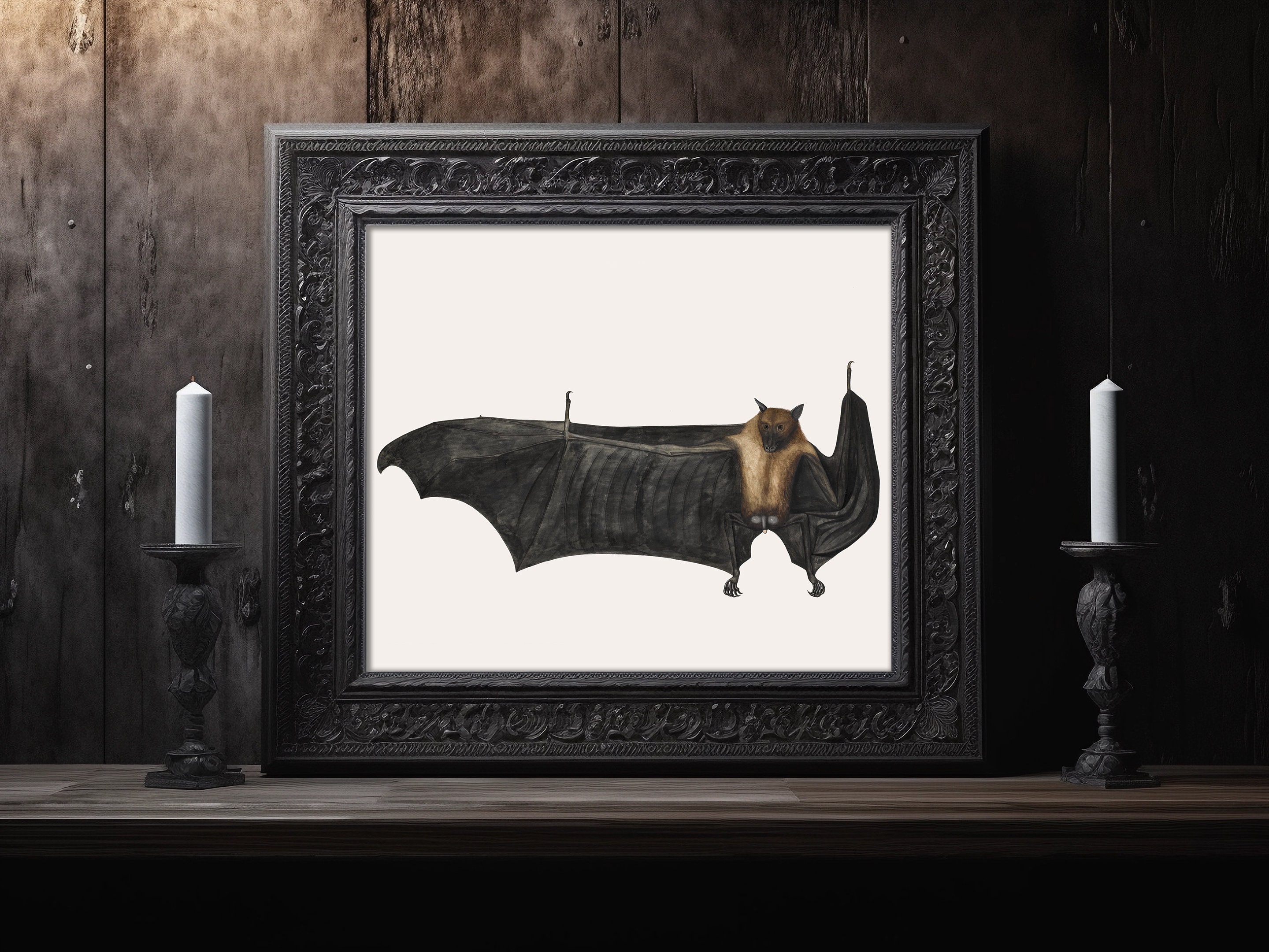 PRINTABLE DIGITAL DOWNLOAD Fruit Bat Drawing Antique Illustration ...