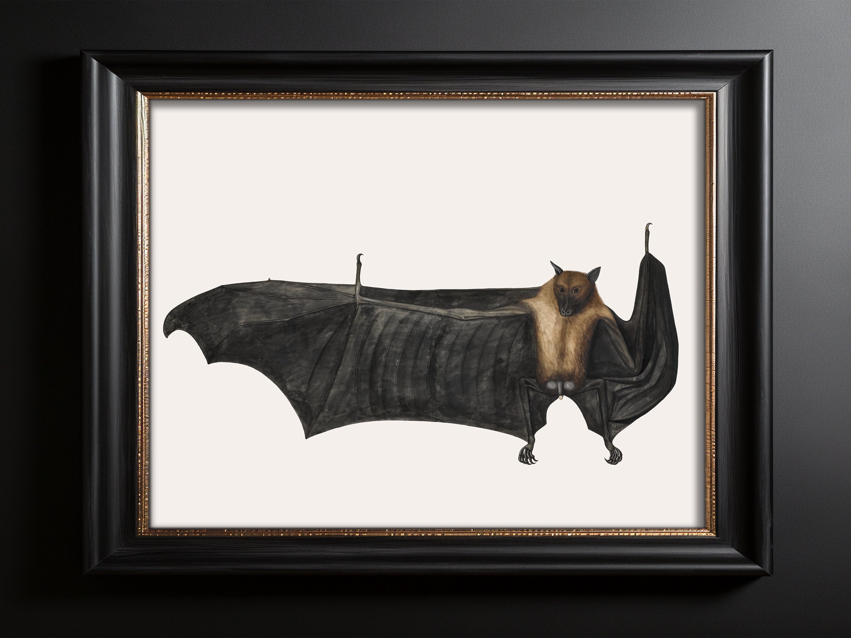 PRINTABLE DIGITAL DOWNLOAD Fruit Bat Drawing Antique Illustration ...