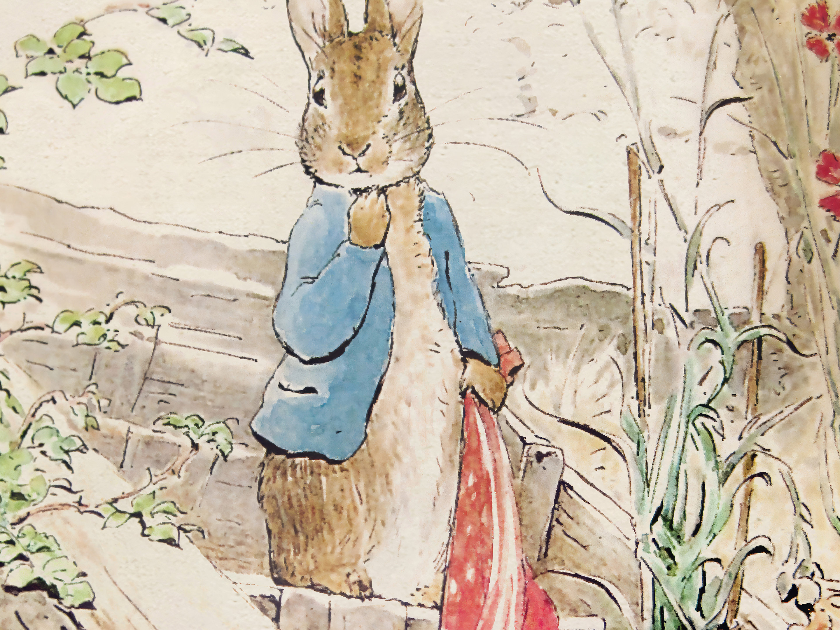 DIGITAL DOWNLOAD Antique Beatrix Potter Illustration of Peter Rabbit in ...