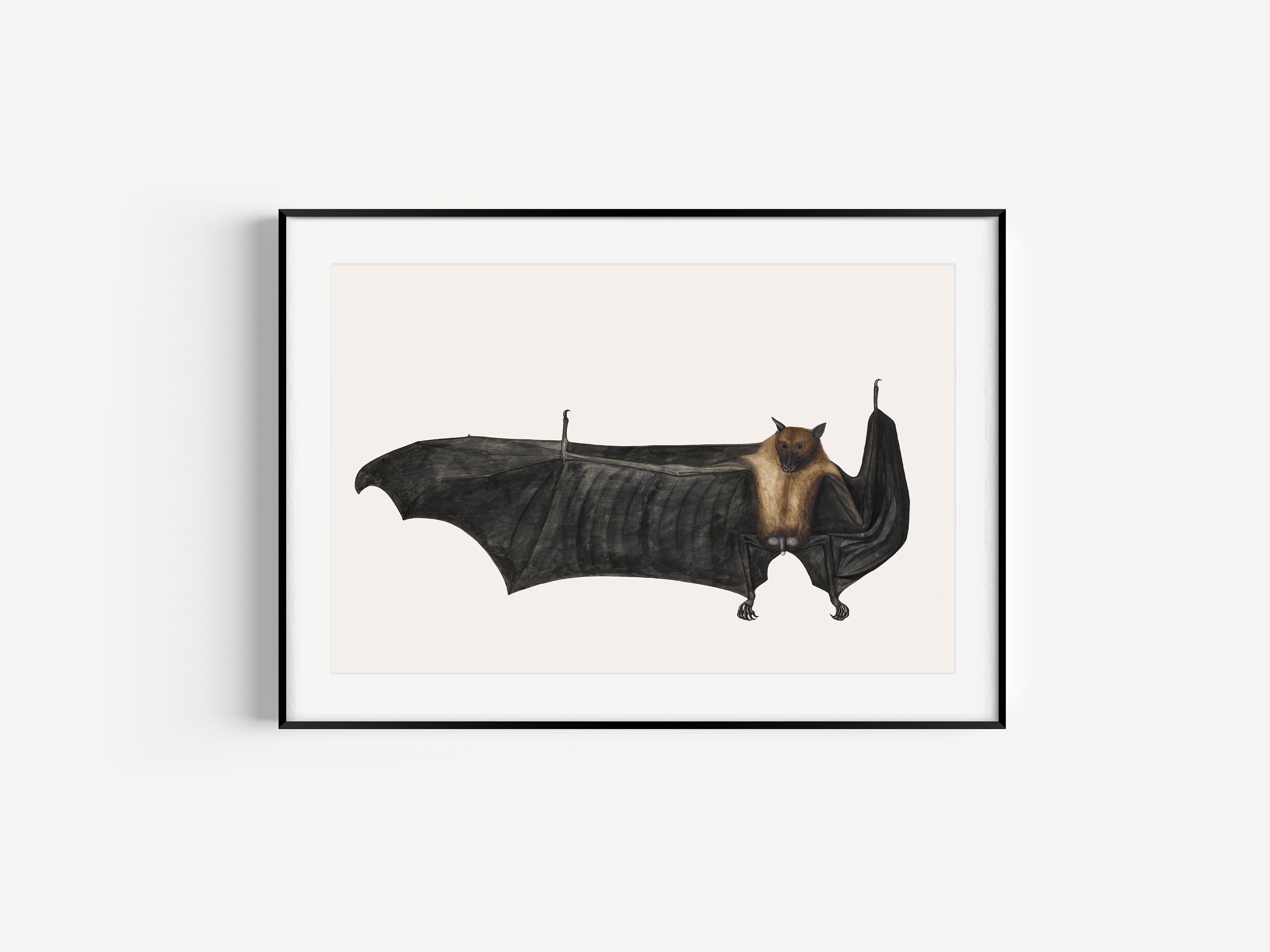 PRINTABLE DIGITAL DOWNLOAD Fruit Bat Drawing Antique Illustration ...