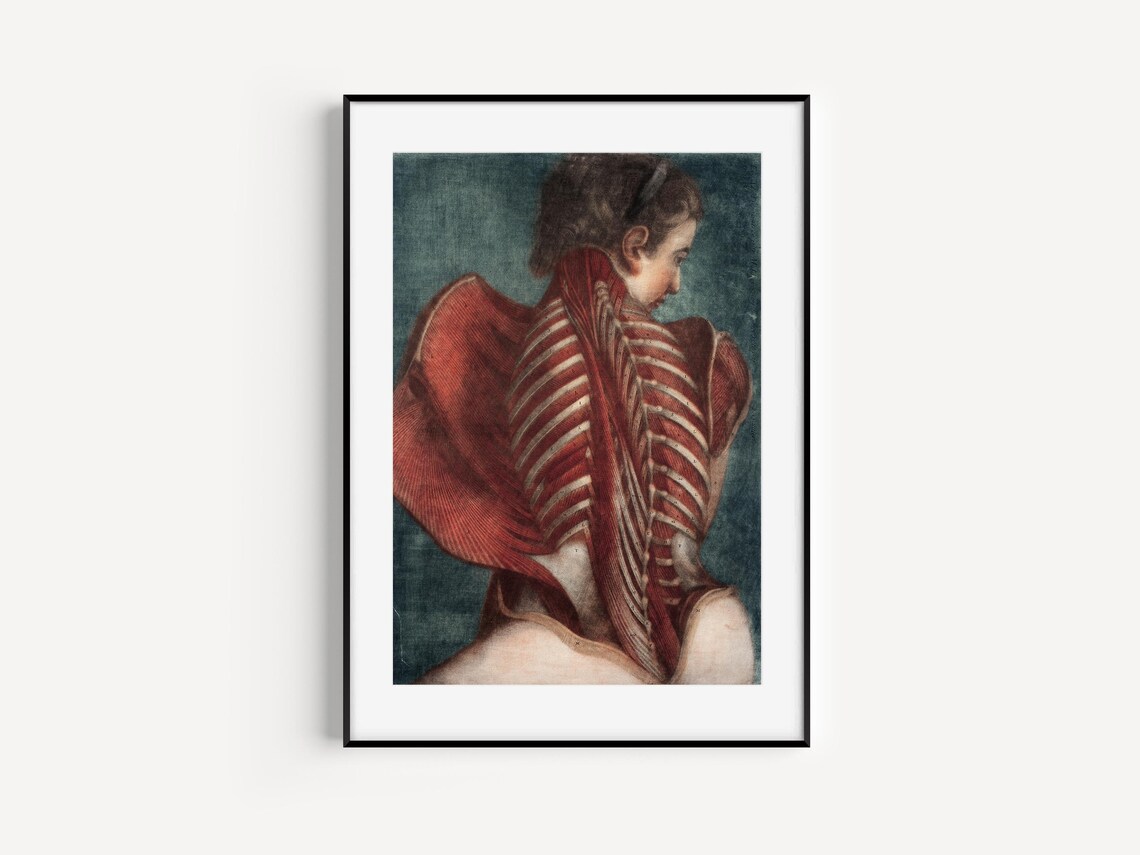 DIGITAL DOWNLOAD | Anatomy of the Back, 1746 | Antique Painting of Back ...